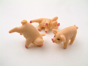 Acheter Cochonnets (tequila pigs) (fr/en) - Autruche - Joubec acheter ...